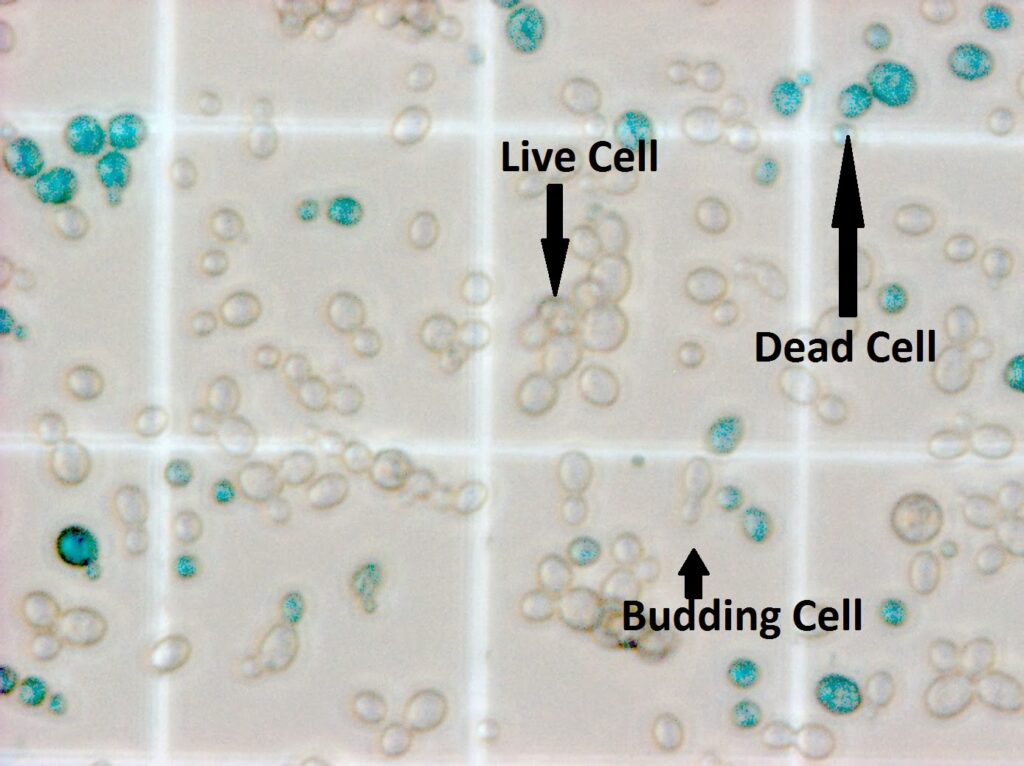 Calculators - Propagate Lab