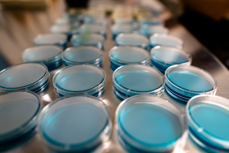 Sample Plating - Propagate Lab